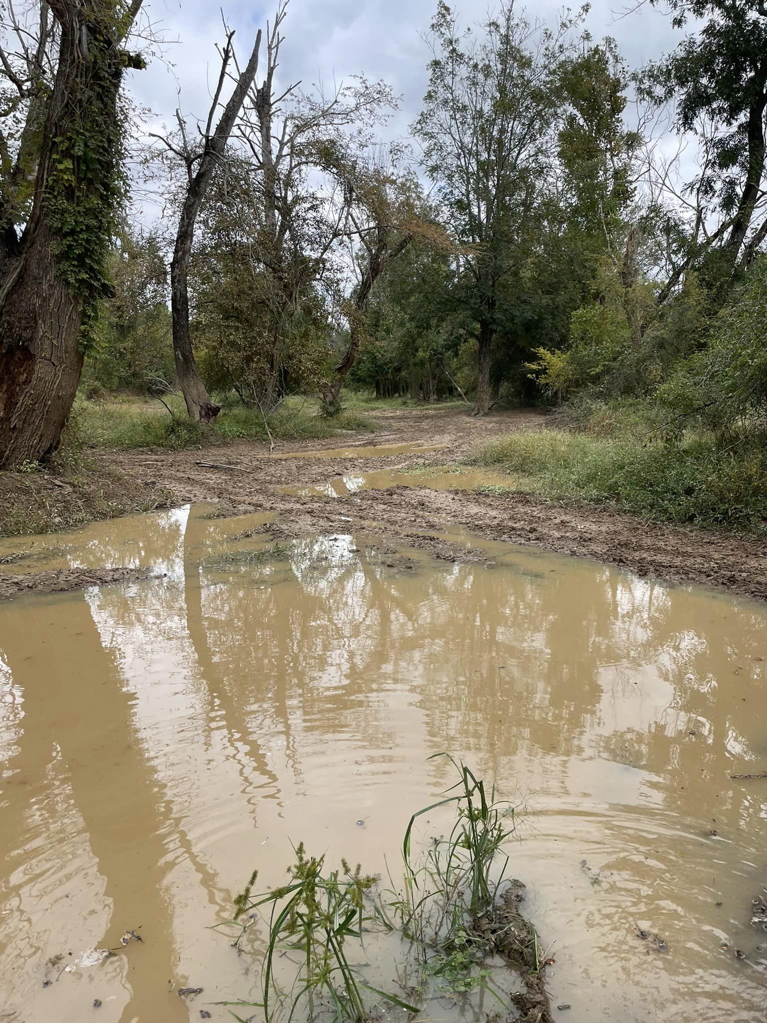 Neuse River Rising paddle: Day 5 - Sound Rivers