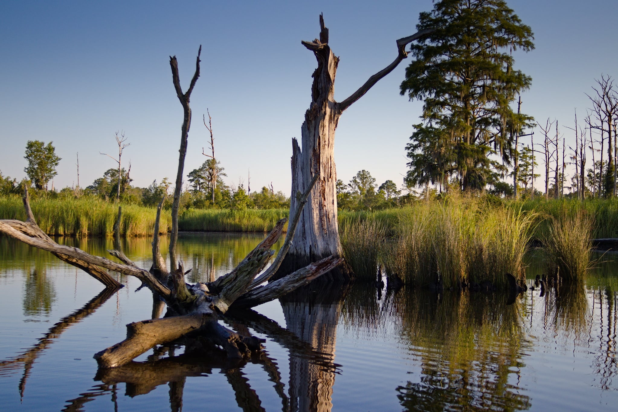 Watersheds - Sound Rivers