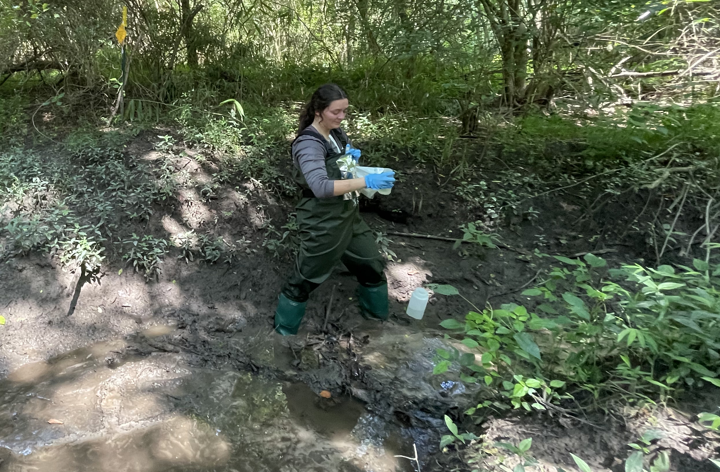 Nahunta Swamp pollution investigation continues - Sound Rivers