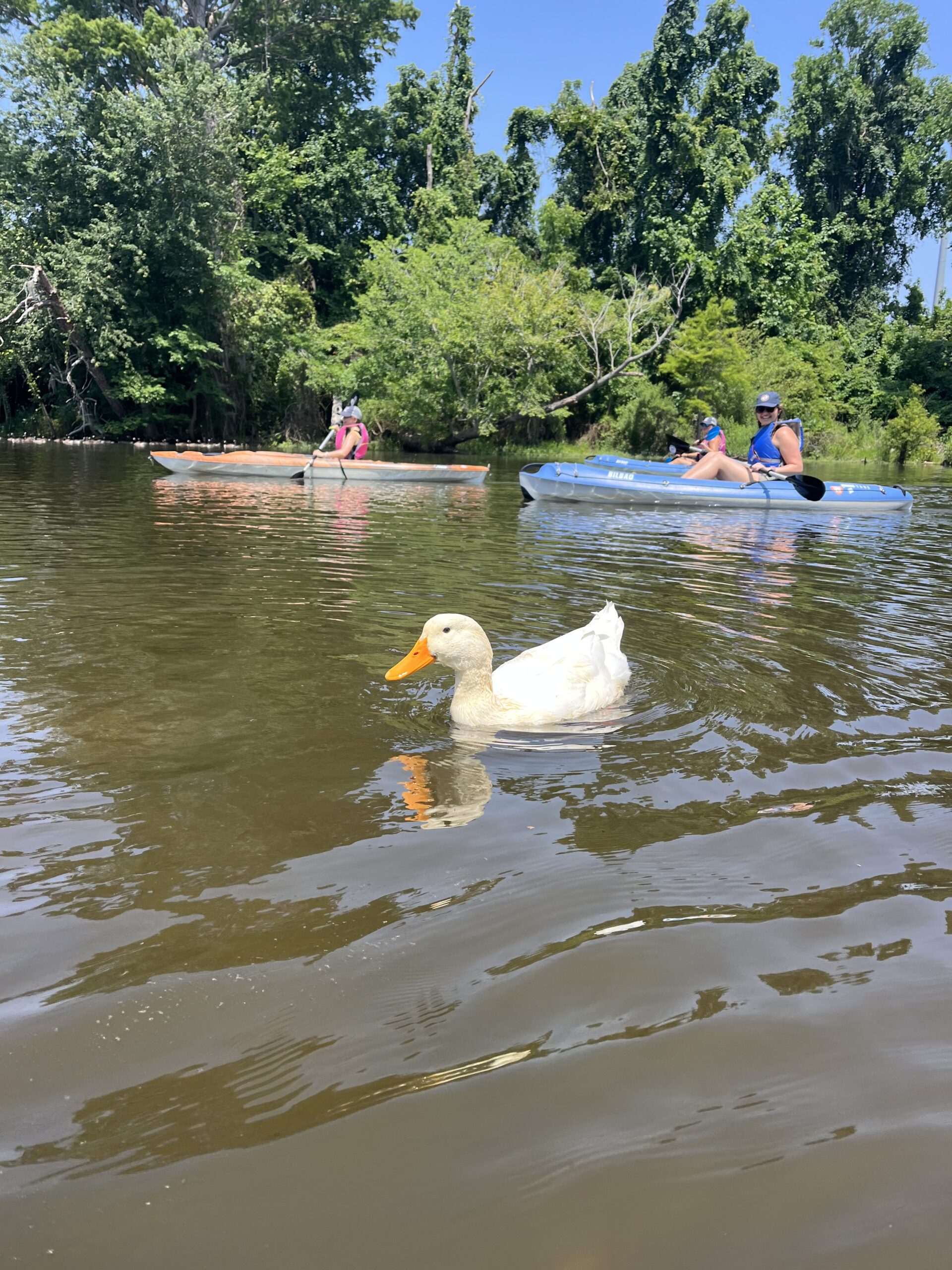National Canoe Day paddle on the Tar River! - Sound Rivers