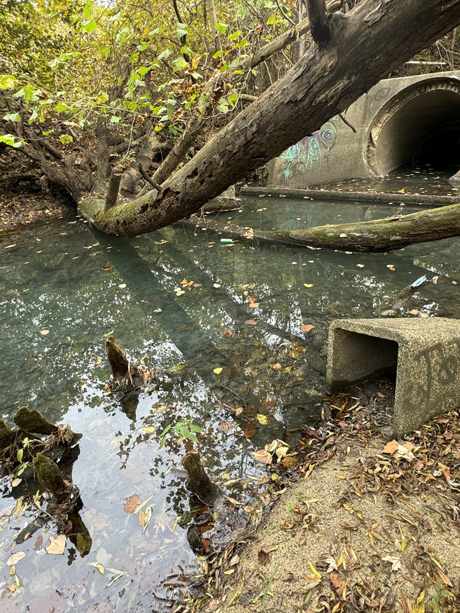 Riverkeeper hunting source of Kinston pollution - Sound Rivers