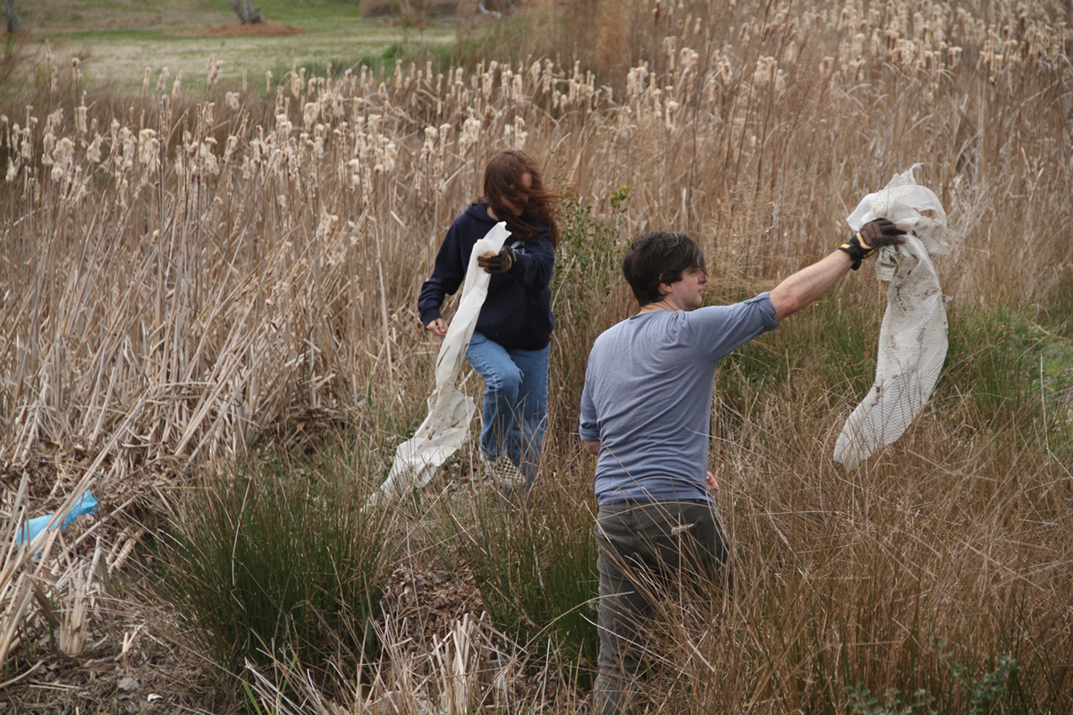 Environmental club holds constructed wetland cleanup - Sound Rivers
