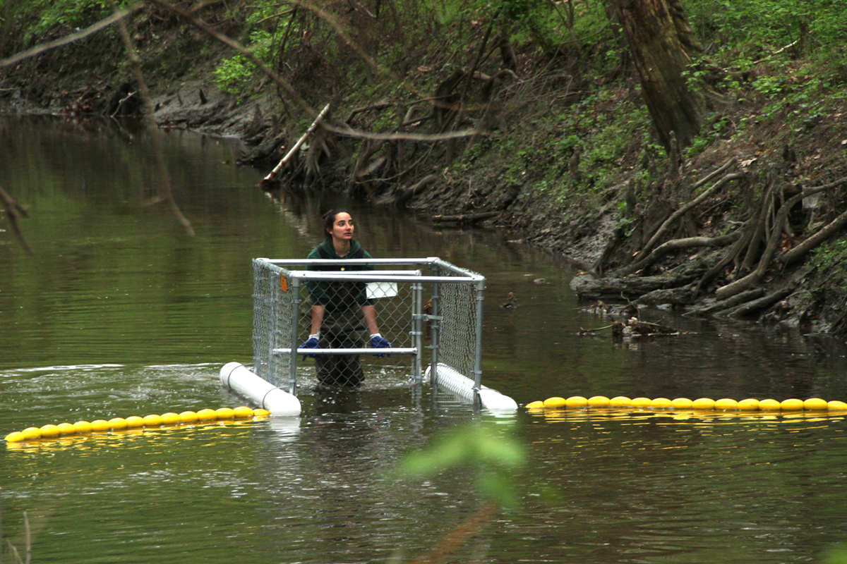 Trash trap No. 5 makes Greenville debut - Sound Rivers