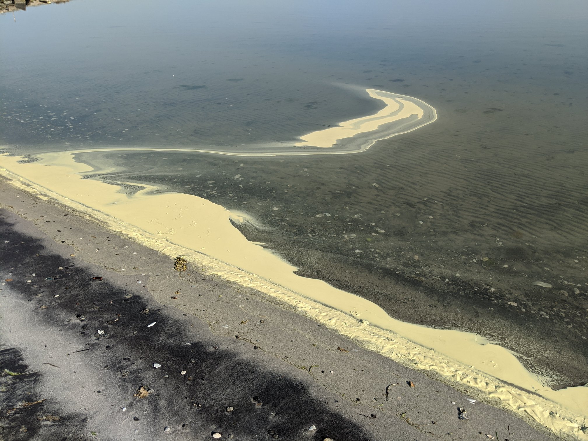 Is it pollution? Or is it pollen? - Sound Rivers