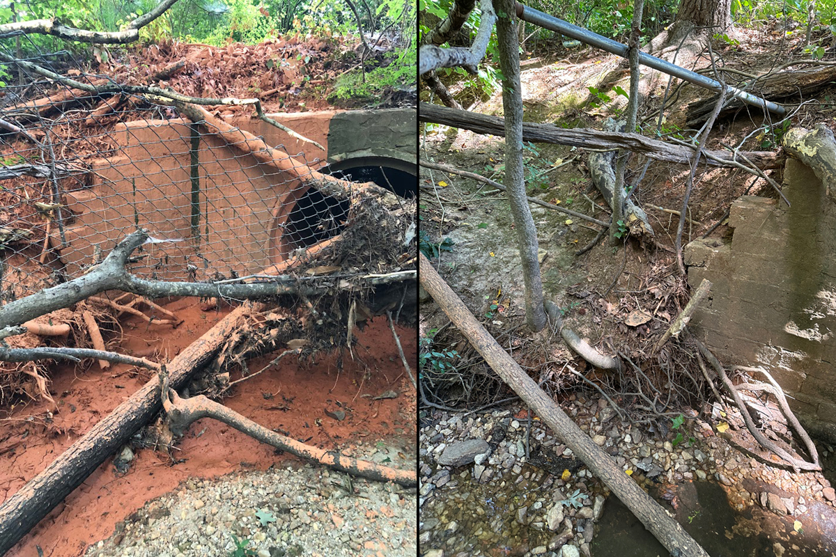 Sound Rivers intervention leads to Mine Creek cleanup