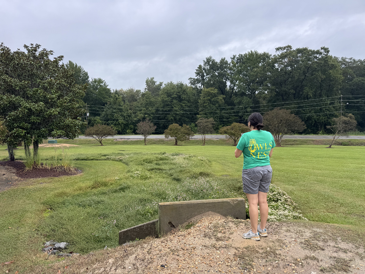 Smithfield sewage spill investigation continues - Sound Rivers