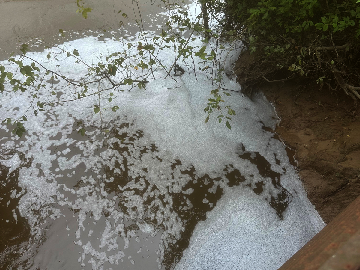 Riverkeeper: ‘We suspect sewage is flowing directly into the Neuse’