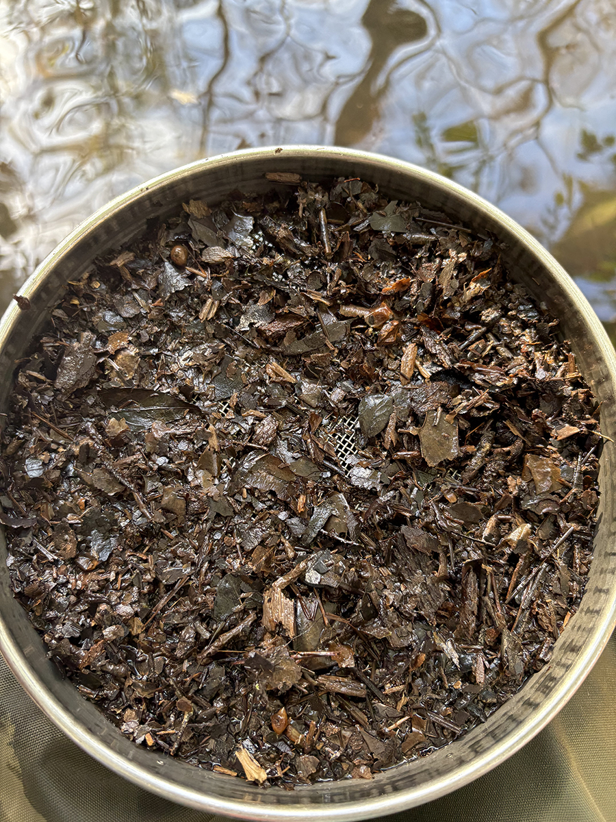 Riverkeeper makes Blounts Creek benthic survey trip No. 2