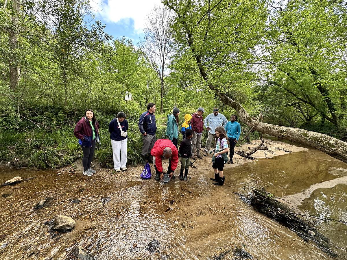 Wetland walk a partnership showcase - Sound Rivers
