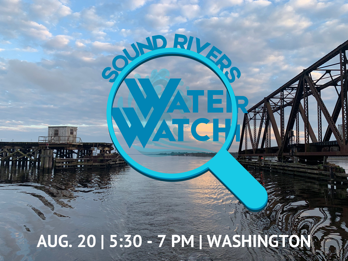 Water Watch Training: Washington - Sound Rivers