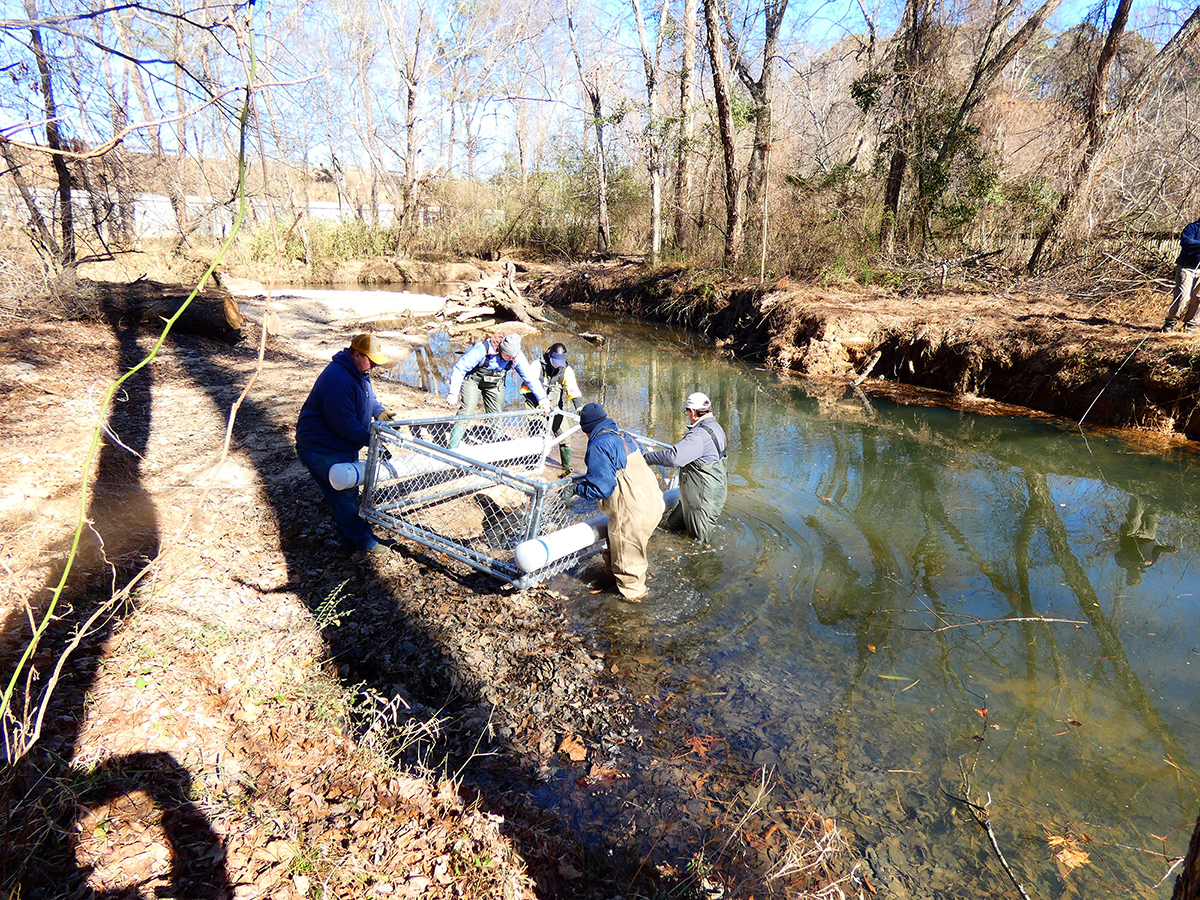 Raleigh hosts name-that-trash-trap contest! - Sound Rivers
