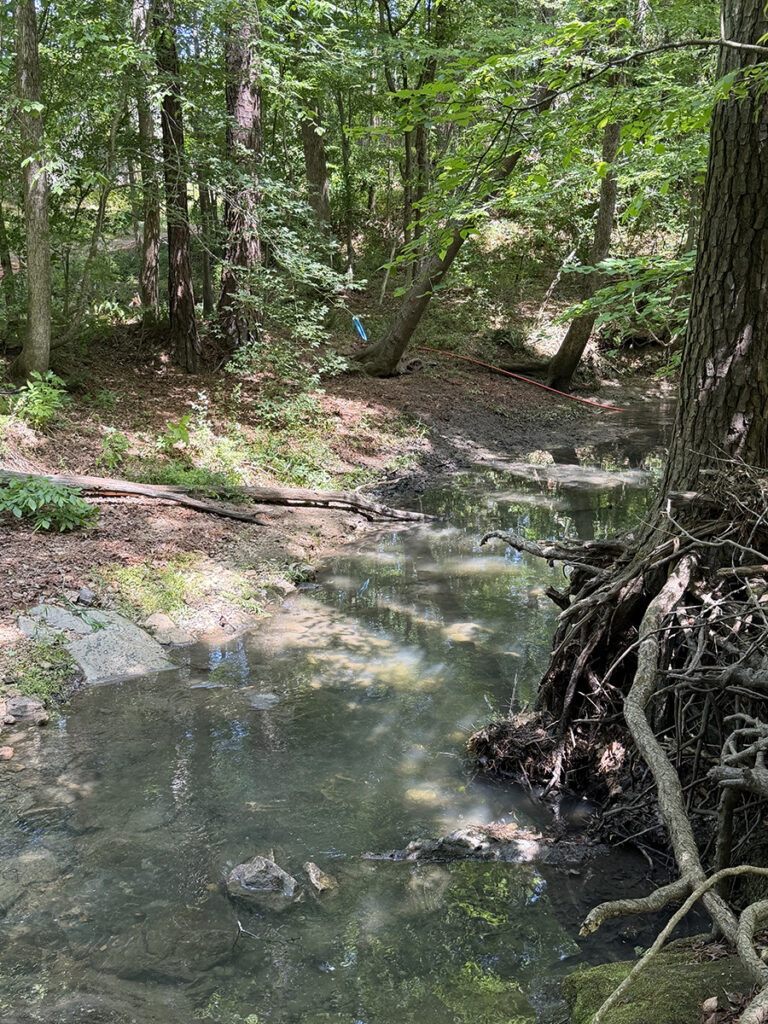 Sound Rivers investigates 1.1-million-gallon sewage spill - Sound Rivers