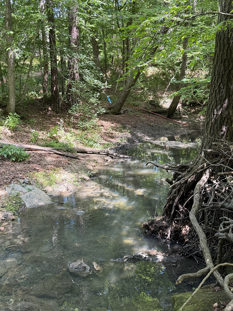 Sound Rivers investigates 1.1-million-gallon sewage spill - Sound Rivers